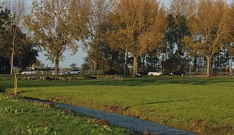 Door afsluiting deel snelweg A15 'polderweg' N214 naar Papendrecht erg ...
