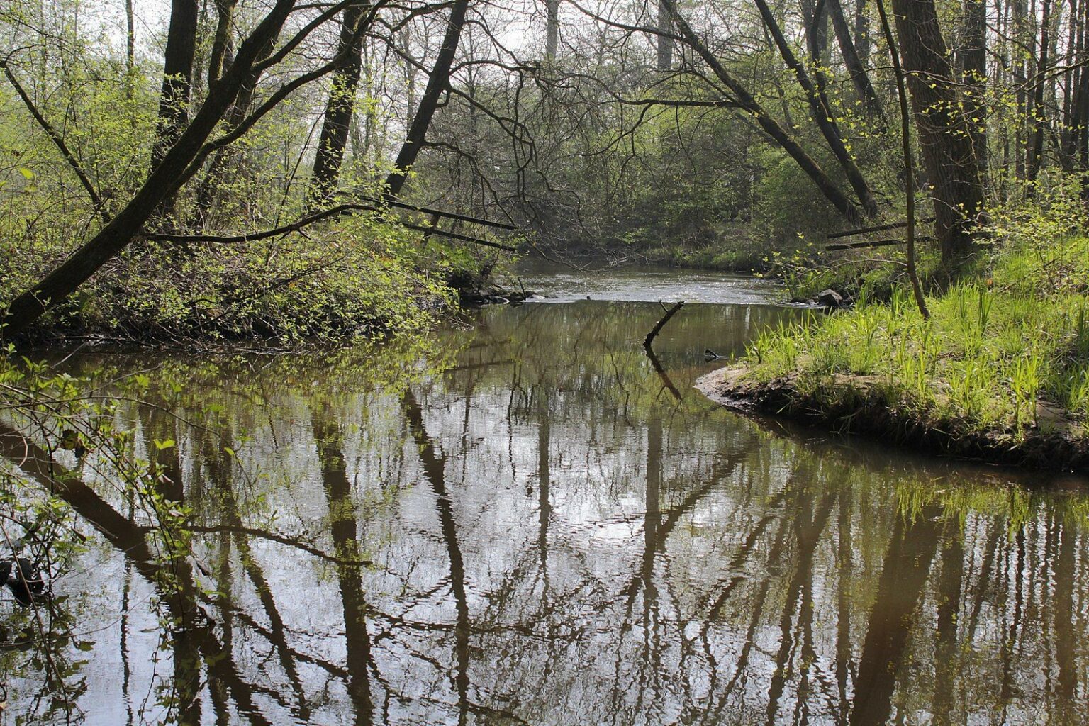 Groei & Bloei Alblasserwaard houdt lezing over natuurgebied Kampina ...