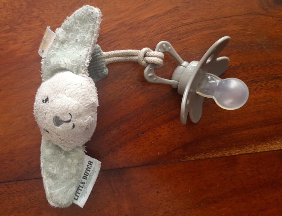 Mogelijk wordt deze knuffel-speen node gemist… - Sliedrecht24